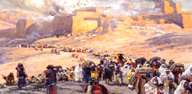 Consuelo + conversión = Adviento – La homilía del Domingo